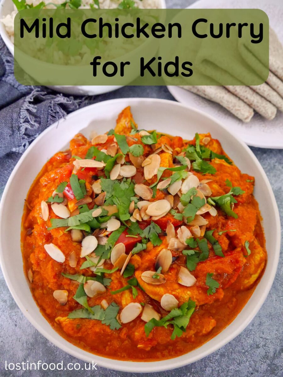 Mild Chicken Curry for Kids - Lost in Food
